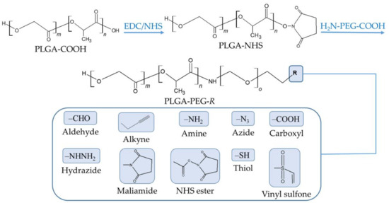 Recent Advances in the Surface Functionalization of PLGA-Based ...