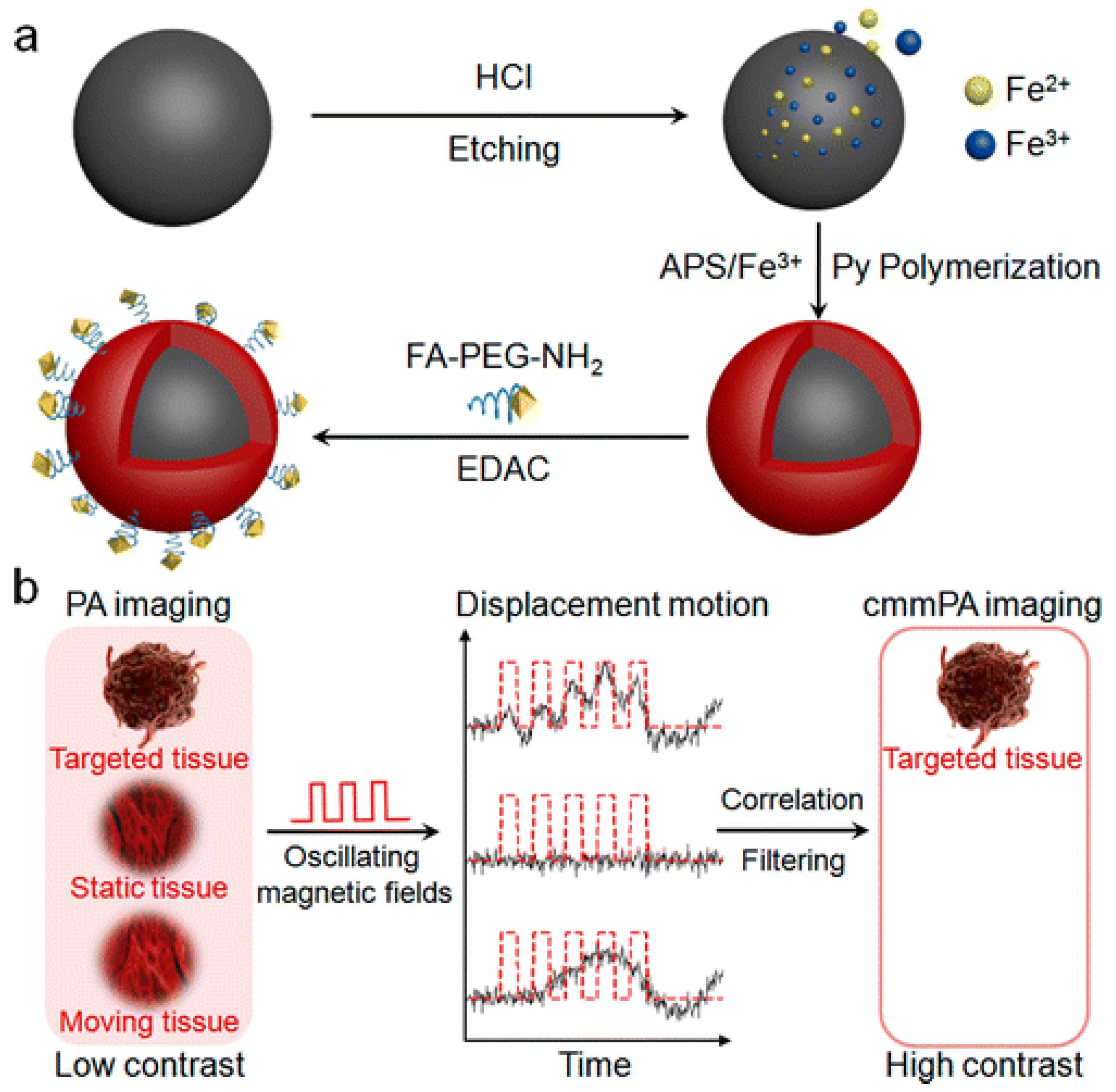 Exogenous Contrast Agents in Photoacoustic Imaging: An In Vivo Review ...