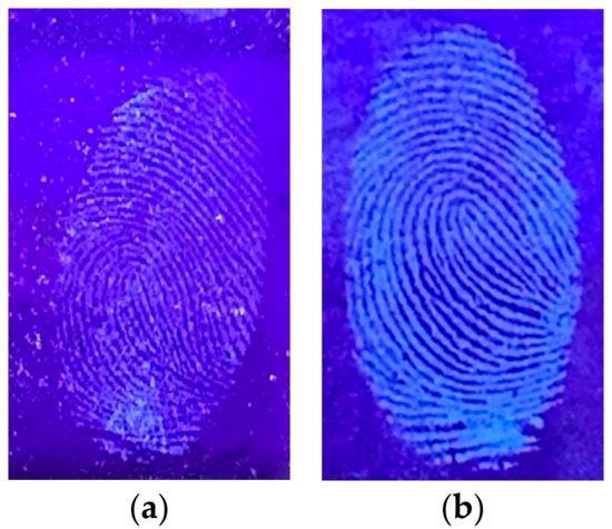 Highly Sensitive Fingerprint Detection under UV Light on Non-Porous ...