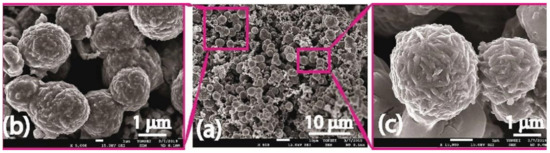 Recent Advances in Hole-Transporting Layers for Organic Solar Cells