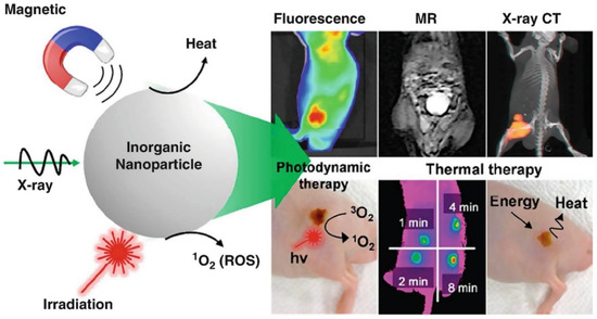 Review on Nanoparticles and Nanostructured Materials: Bioimaging ...