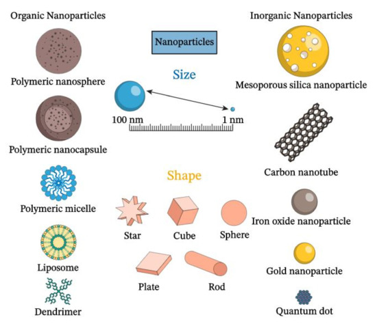 Exploiting Nanomaterials for Optical Coherence Tomography and ...