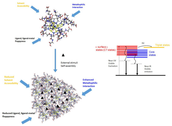 Self-Assembled Metal Nanoclusters: Driving Forces and Structural ...