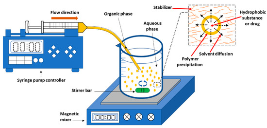 Exploring Various Techniques for the Chemical and Biological Synthesis ...