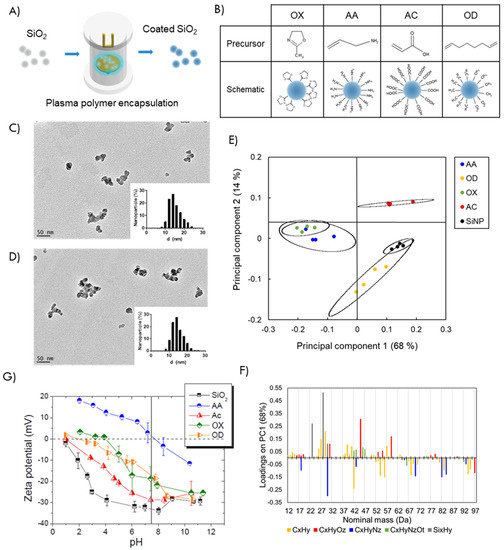Nanomaterials | Free Full-Text | Nanoparticles Surface Chemistry Influence on Protein Corona ...