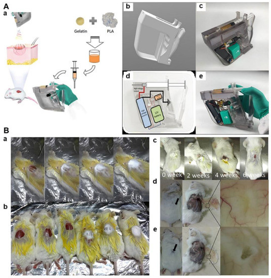 State-of-the-Art Review of Electrospun Gelatin-Based Nanofiber Dressings for Wound Healing ...