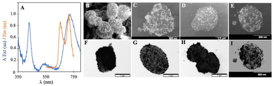 Synthesis, Properties and Applications of Fluorescent Nanomaterials