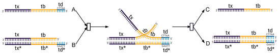 An Operational DNA Strand Displacement Encryption Approach