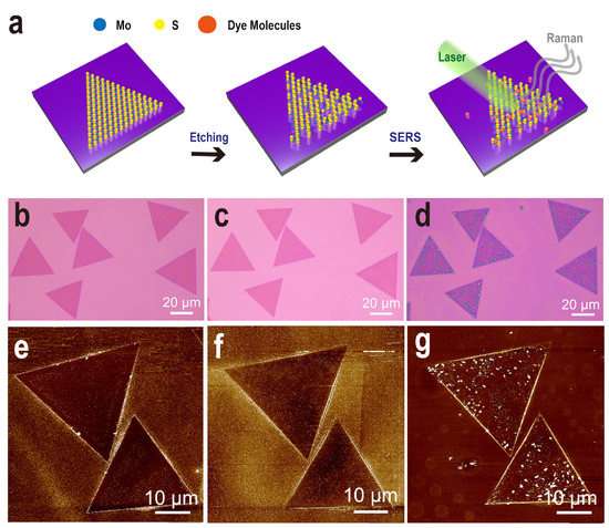 Nanomaterials | Free Full-Text | Defect-Rich Monolayer MoS2 as a ...