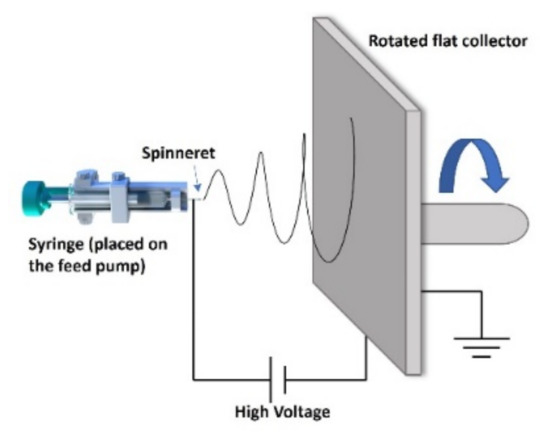 Effects of Solvent and Electrospinning Parameters on the Morphology and ...