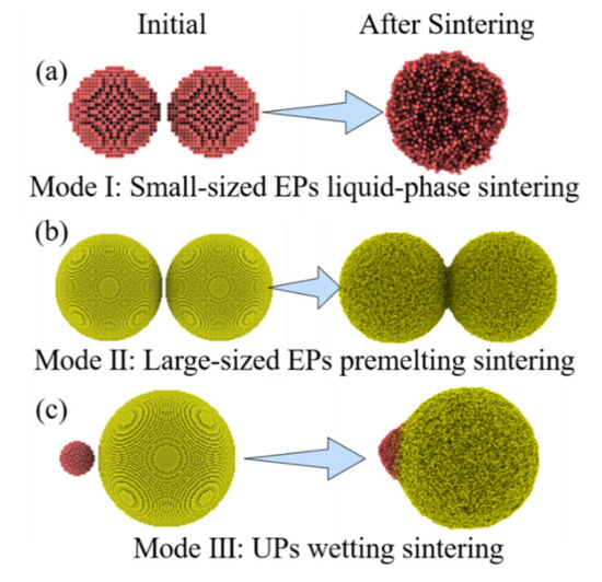 Simulation and Experimental Study of the Multisized Silver ...