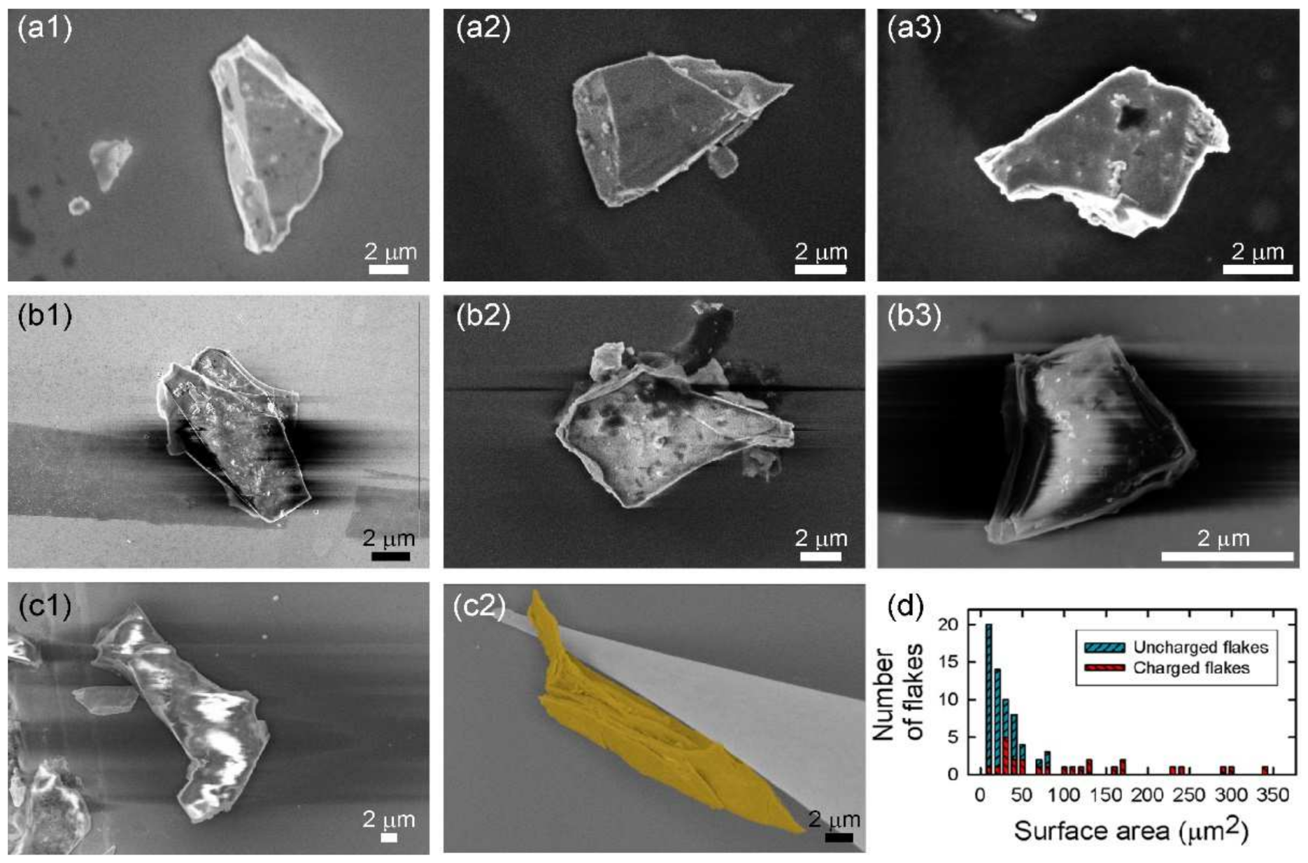 Nanomaterials | Free Full-Text | Transport Properties of Methyl ...