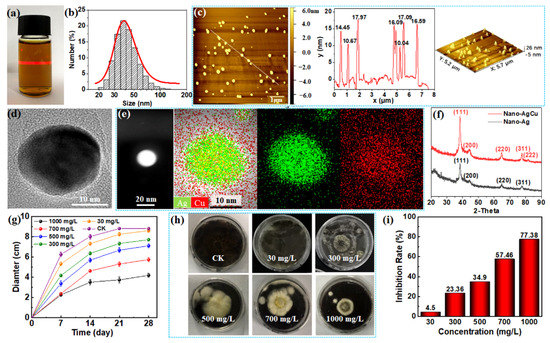 Nano-AgCu Alloy on Wood Surface for Mold Resistance