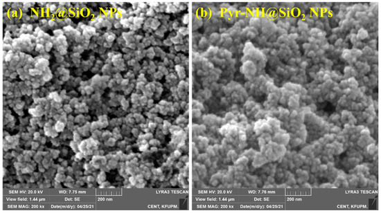 Synthesis, Properties and Applications of Fluorescent Nanomaterials
