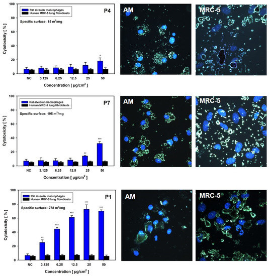 Nanomaterials | Special Issue : Risk Assessment of Nanomaterials Toxicity