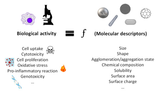 Experimental and Computational Nanotoxicology—Complementary Approaches for Nanomaterial Hazard ...