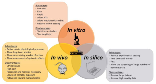 Experimental and Computational Nanotoxicology—Complementary Approaches for Nanomaterial Hazard ...