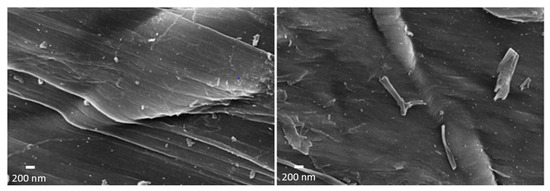 Hard Carbons for Use as Electrodes in Li-S and Li-ion Batteries