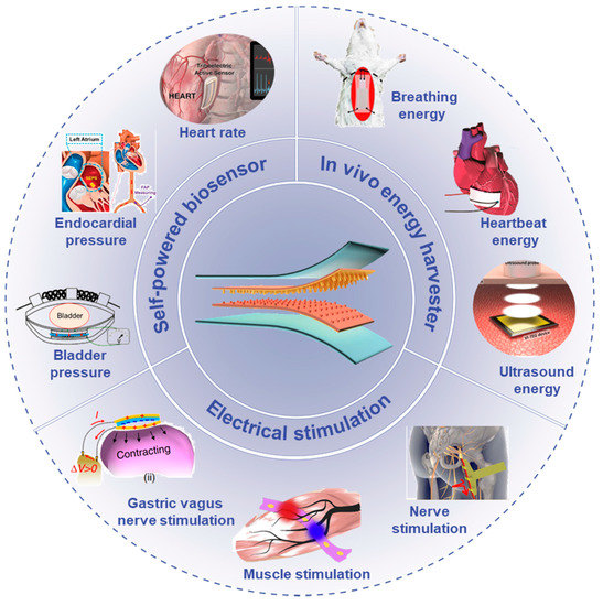 Advanced Implantable Biomedical Devices Enabled by Triboelectric ...