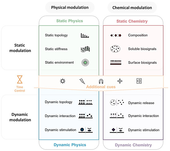 Static and Dynamic Biomaterial Engineering for Cell Modulation
