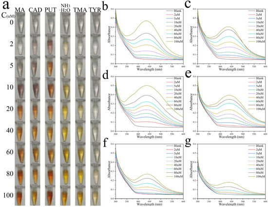 A Colorimetric Ag+ Probe for Food Real-Time Visual Monitoring