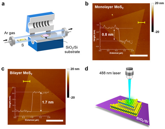 Observation of Strong Interlayer Couplings in WS2/MoS2 Heterostructures ...