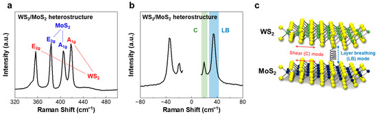 Observation of Strong Interlayer Couplings in WS2/MoS2 Heterostructures ...