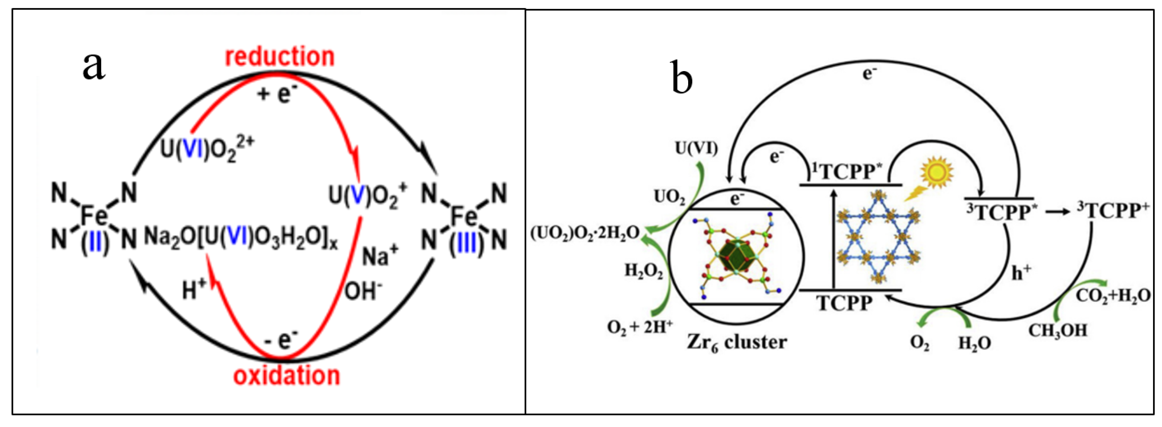 Efficient Selective Removal of Radionuclides by Sorption and Catalytic ...