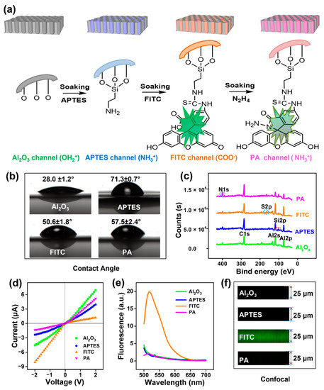 Confining Fluorescent Probes in Nanochannels to Construct Reusable ...