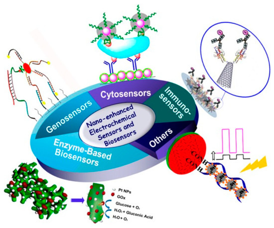 Recent Advances in Electrochemical Sensing of Hydrogen Peroxide (H2O2 ...