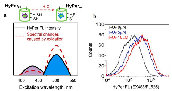 Recent Advances in Electrochemical Sensing of Hydrogen Peroxide (H2O2 ...