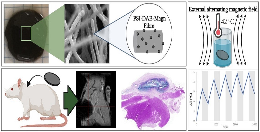 Nanomaterials | Free Full-Text | An Implantable Magneto-Responsive Poly ...