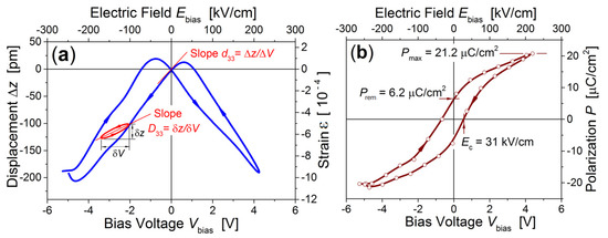 Microstructure and Intrinsic Strain of Nanocrystals in Ferroelectric ...