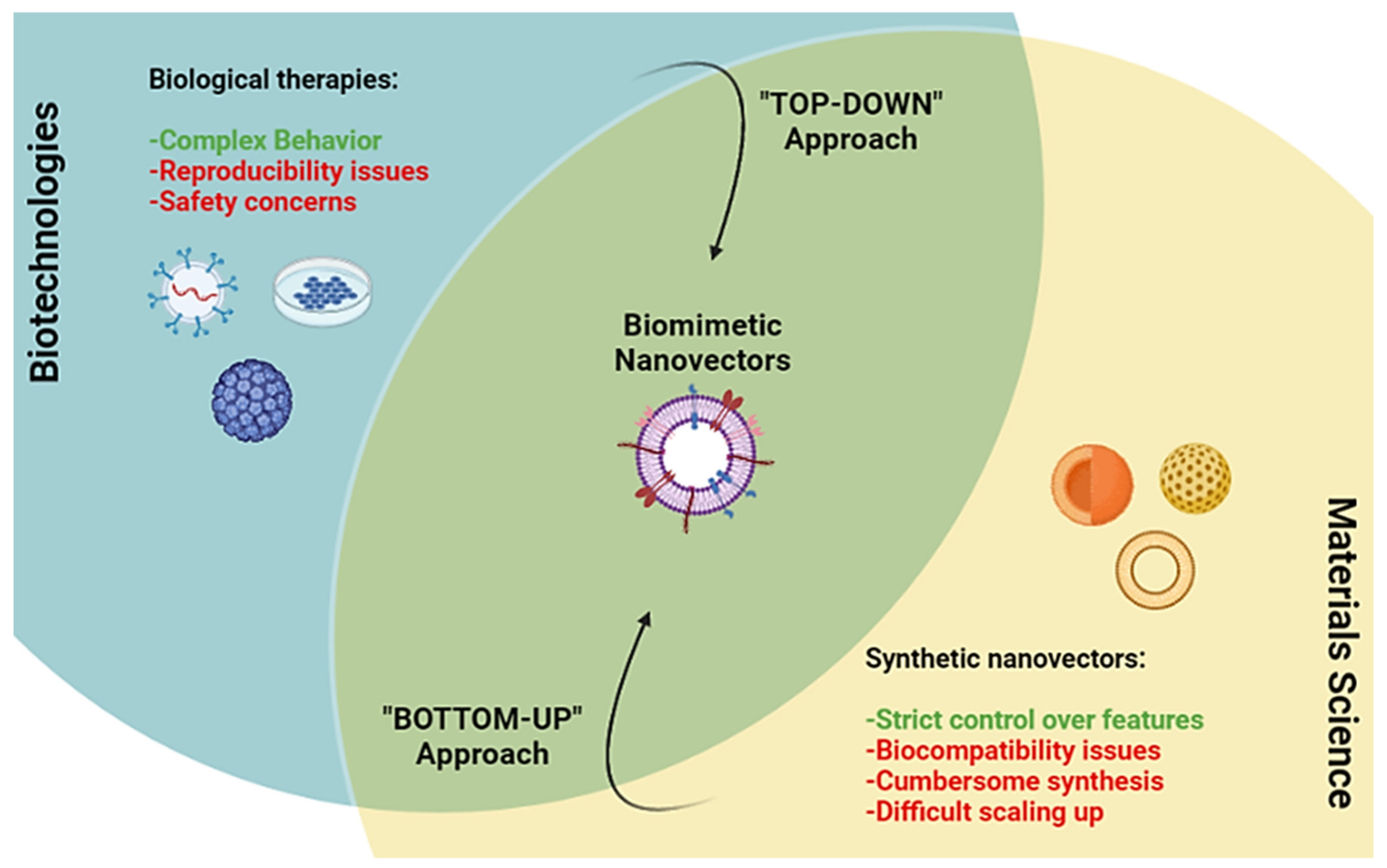 Latest Advances in Biomimetic Cell Membrane-Coated and Membrane-Derived ...