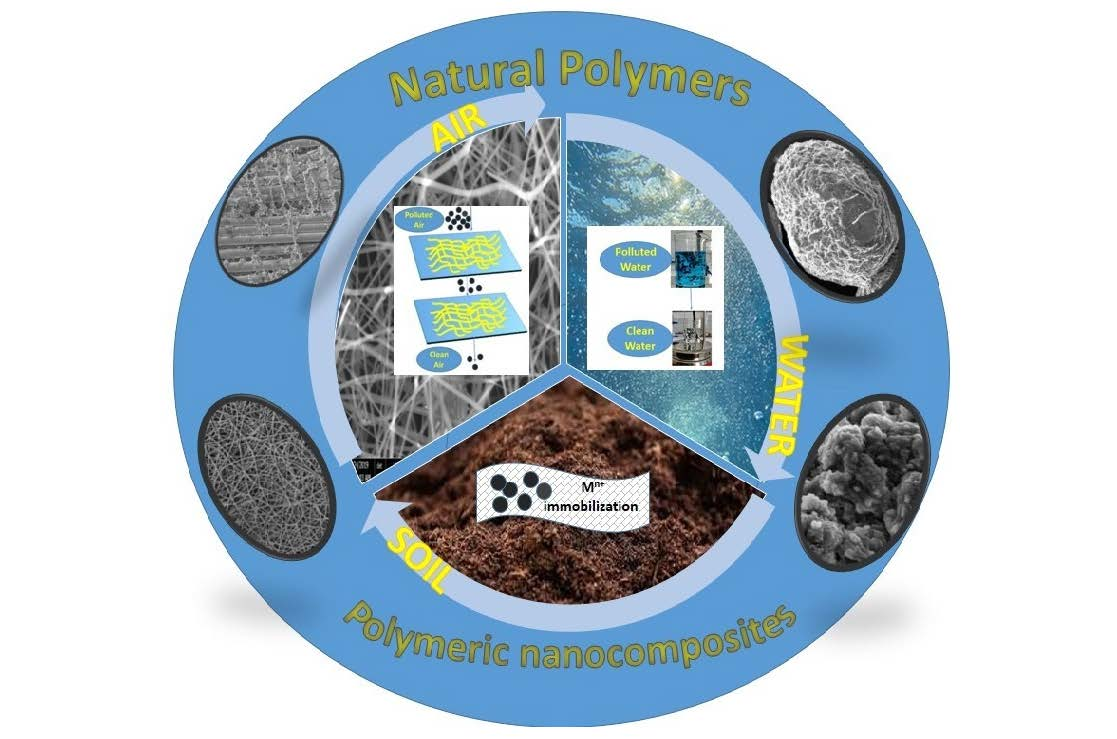 Nanomaterials | Free Full-Text | Natural Polymers and Their ...