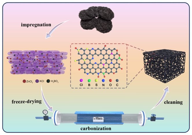 B, O and N Codoped Biomass-Derived Hierarchical Porous Carbon for High-Performance ...
