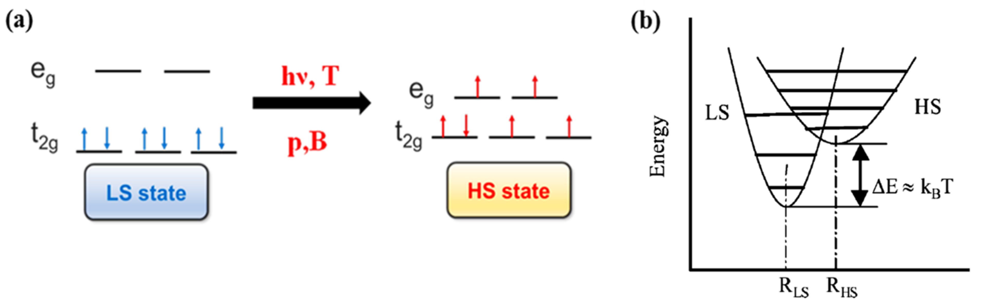 Nanomaterials | Free Full-Text | Dynamics of Spin Crossover Molecular Complexes