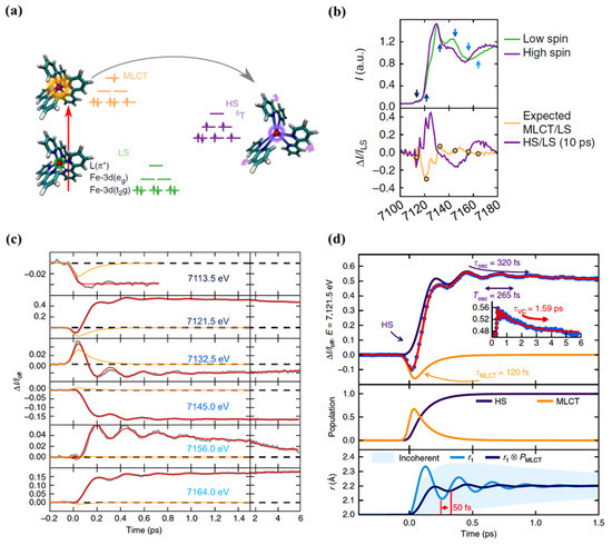 Dynamics of Spin Crossover Molecular Complexes