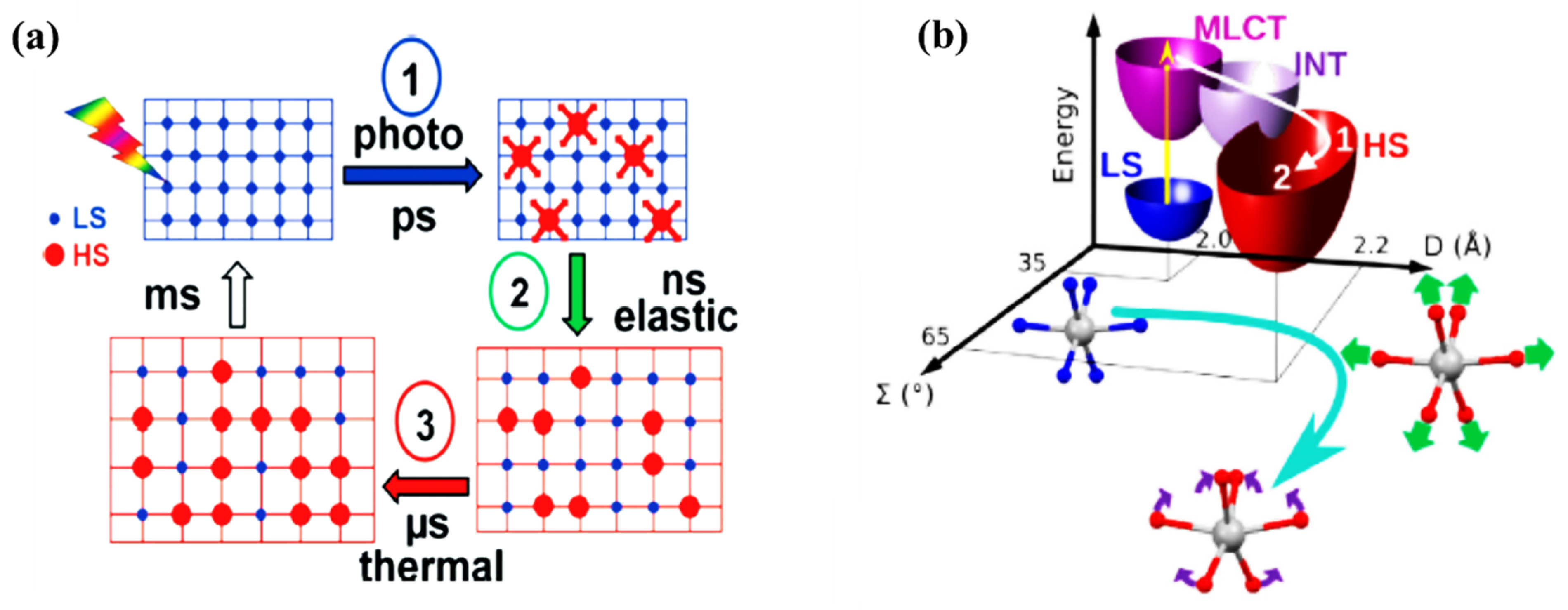 Nanomaterials | Free Full-Text | Dynamics of Spin Crossover Molecular ...