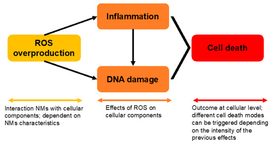 Nanosafety: An Evolving Concept to Bring the Safest Possible ...