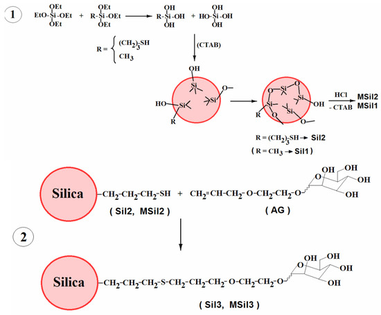 Functionalized Mesoporous Silica as Doxorubicin Carriers and ...