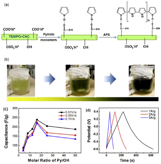 Cellulose Nanocrystals (CNC)-Based Functional Materials for ...