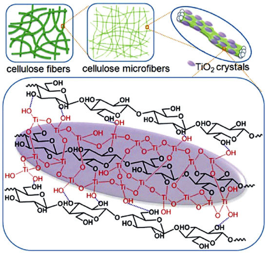 Cellulose Structures as a Support or Template for Inorganic ...