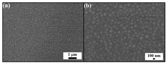 Single-Step Fabrication of Longtail Glasswing Butterfly-Inspired Omnidirectional Antireflective ...