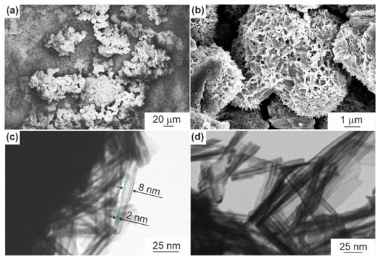 Moss-like Hierarchical Architecture Self-Assembled by Ultrathin ...