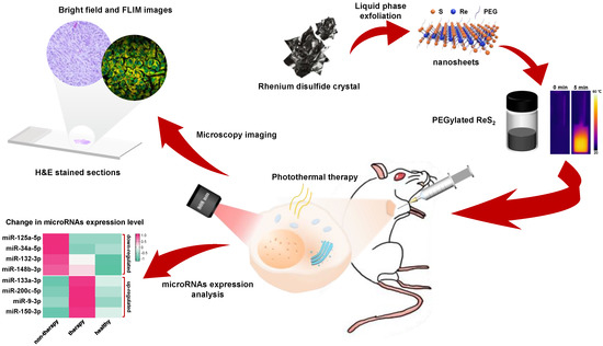 Nanomaterials | Special Issue : Optical Nanotechnology for Biomedical ...