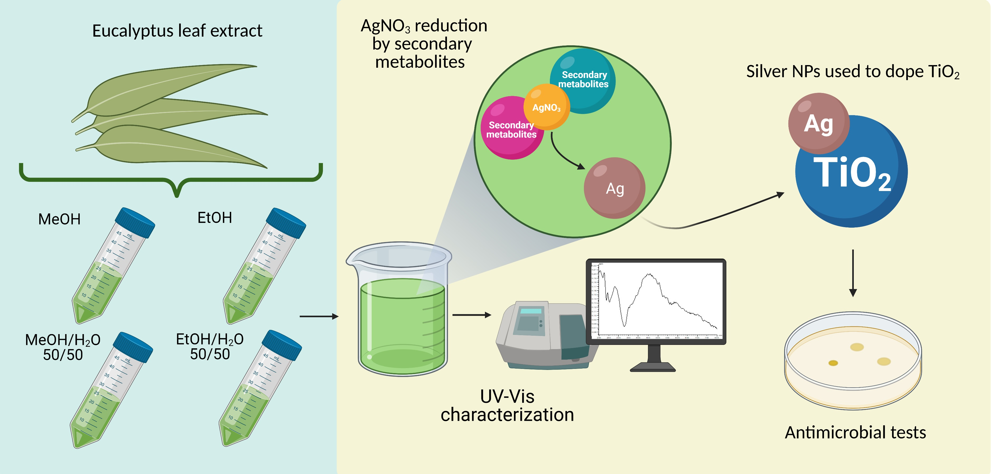 Nanomaterials | Free Full-Text | Green Synthesis via Eucalyptus ...