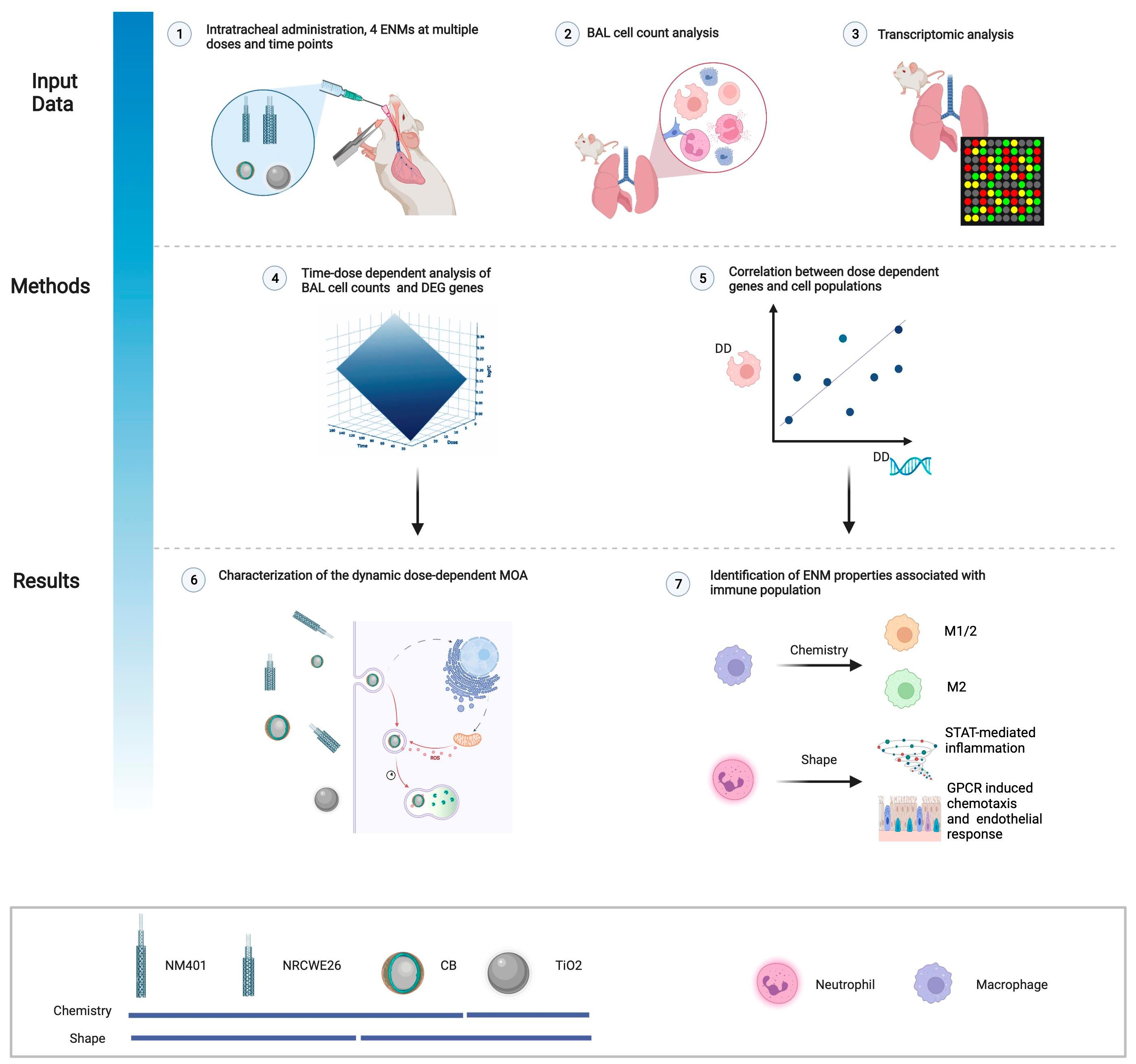 Nanomaterials | Free Full-Text | Characterization of ENM Dynamic Dose ...