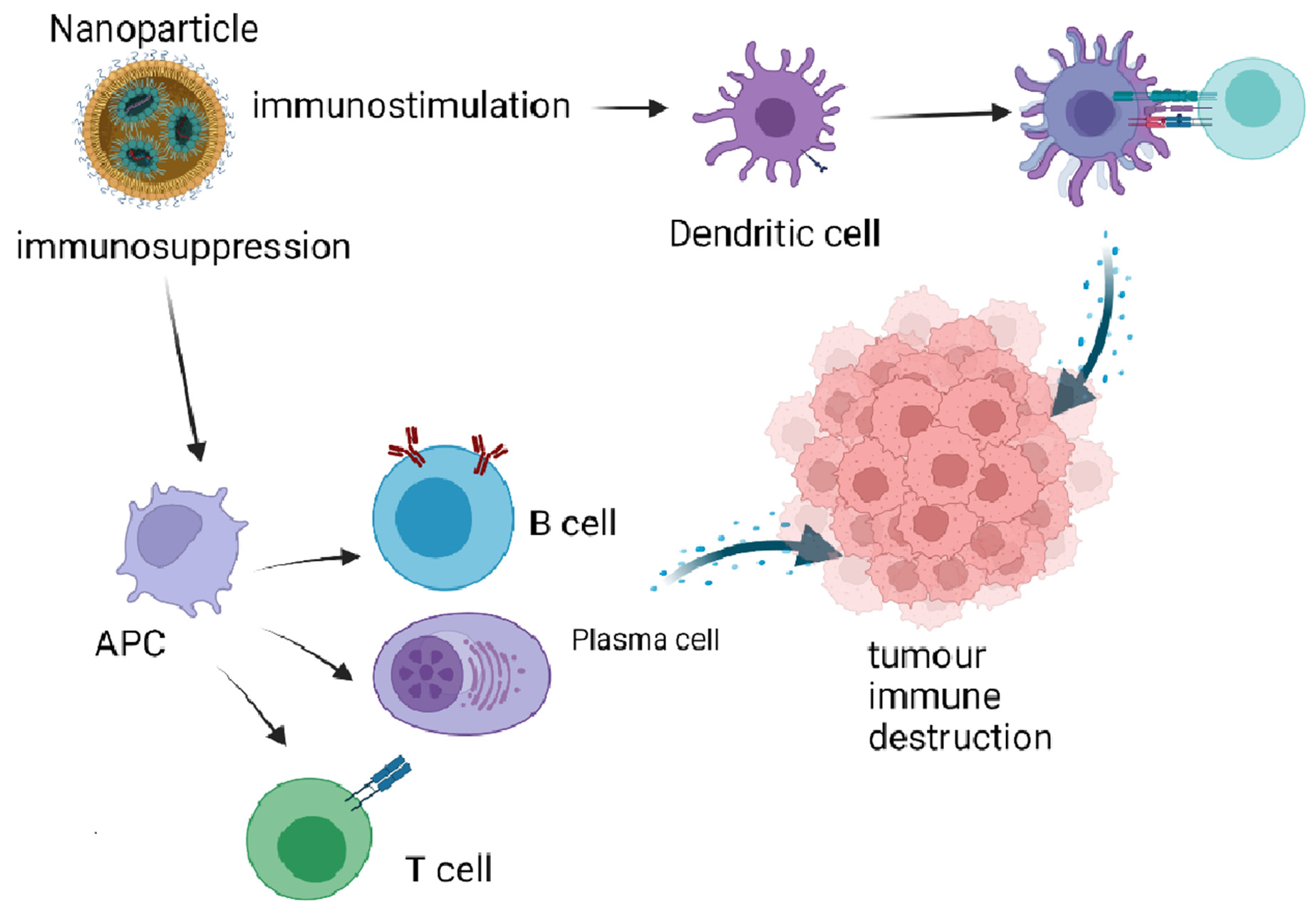 Nanomaterials | Free Full-Text | Moving Forward in Nano-Immune Interactions