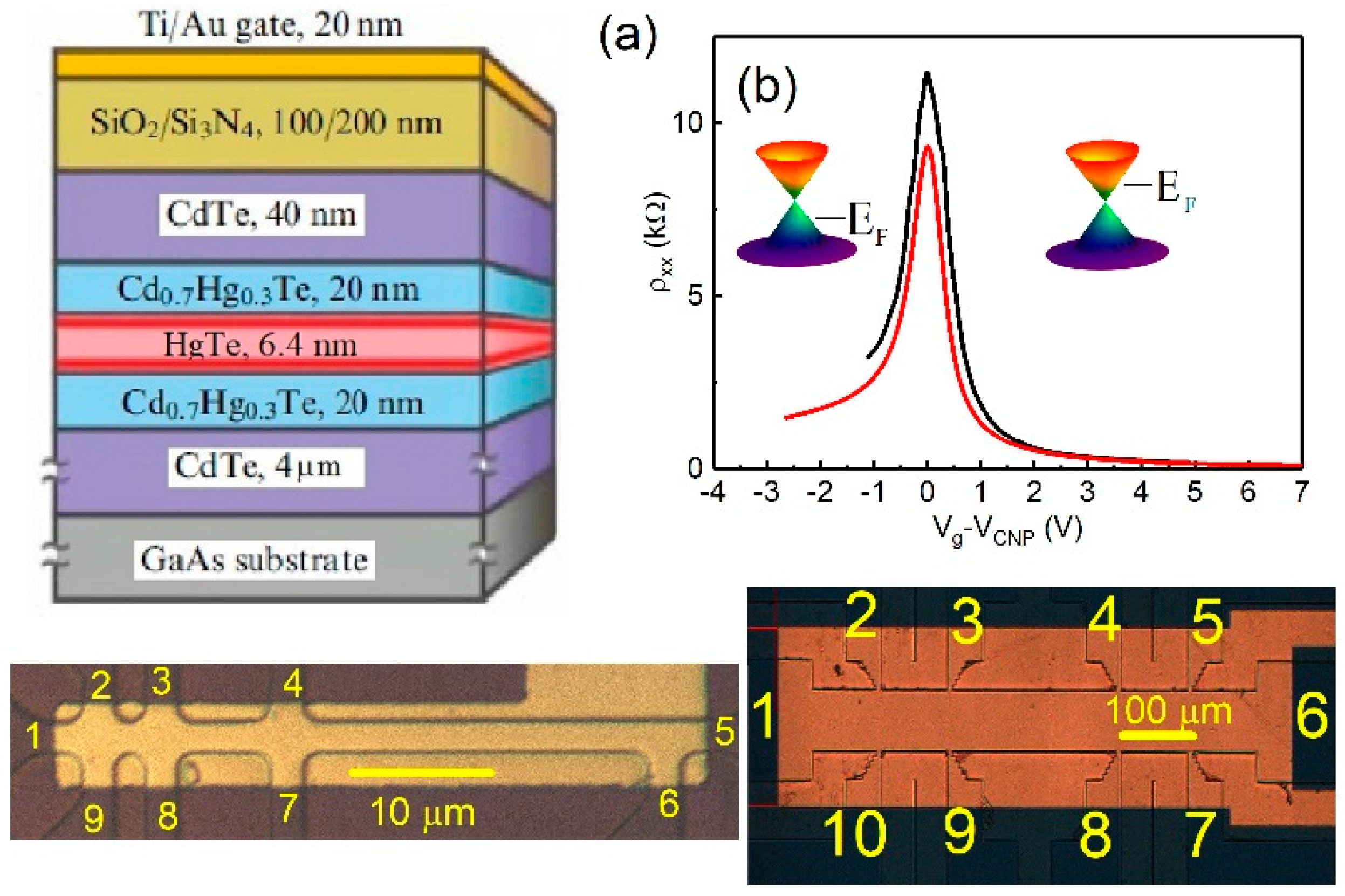 Quantum Transport of Dirac Fermions in HgTe Gapless Quantum Wells